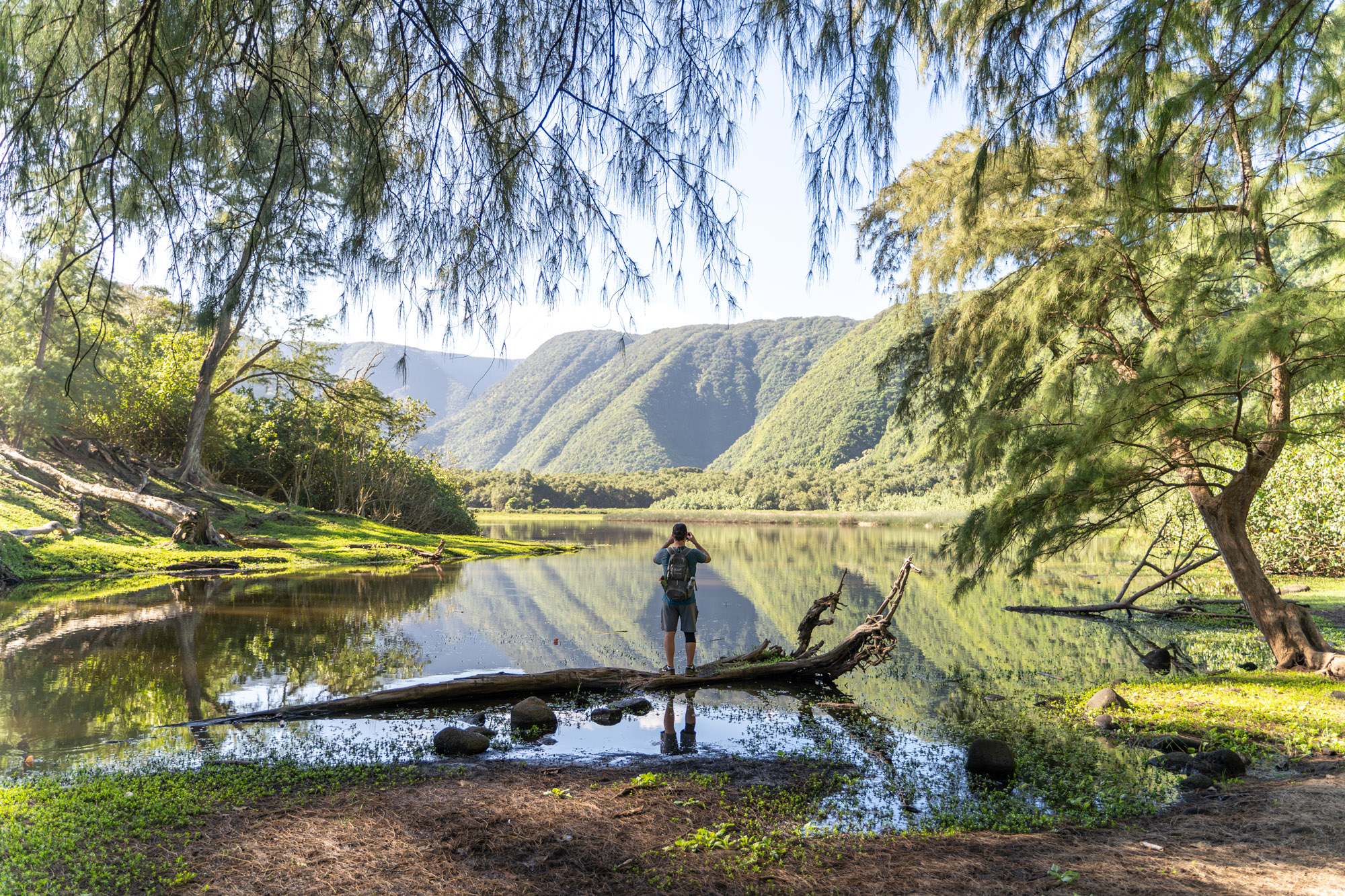 5 Best Hikes on the Big Island in Hawaii - The Lost Girl's Guide to ...