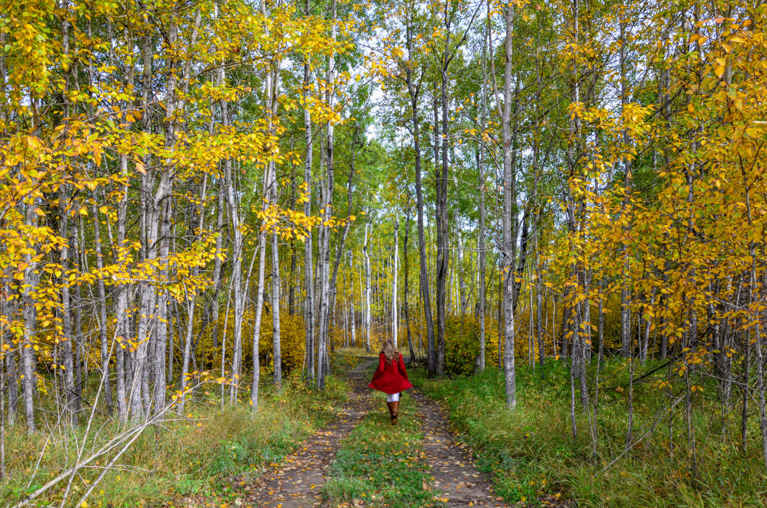 The Best Hiking Trails in Saskatchewan to see the Autumn Colours - The ...