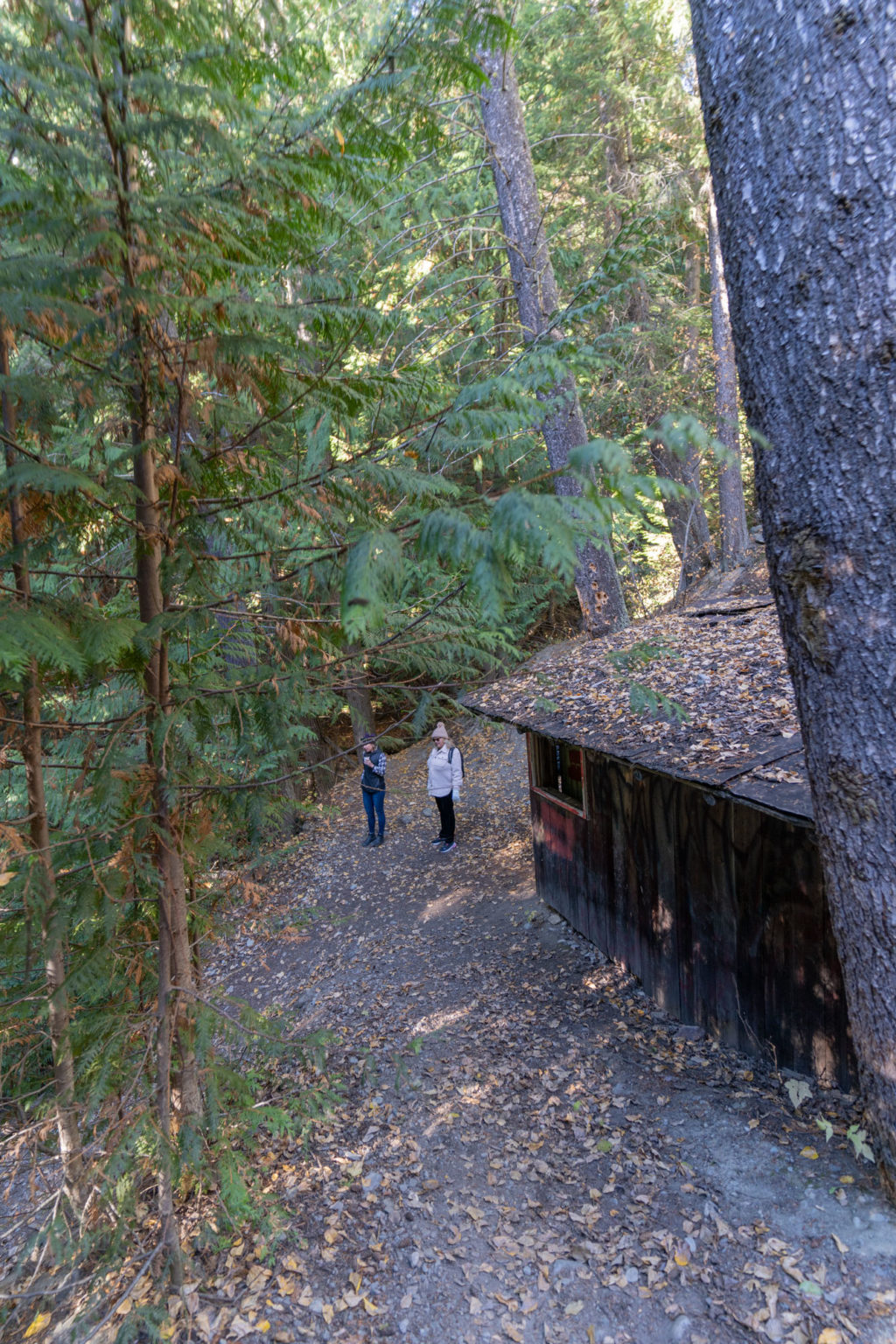 Top 10 Things To Do In Cranbrook, BC - The Lost Girl's Guide to Finding ...