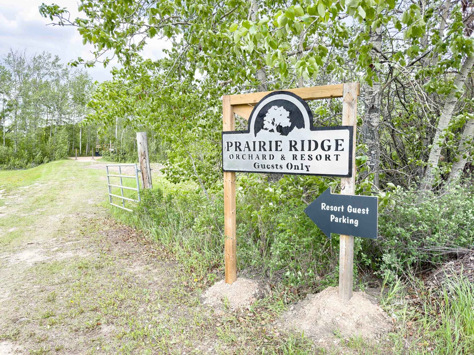 Glamping in Saskatchewan at Prairie Ridge Resort - The Lost Girl's ...