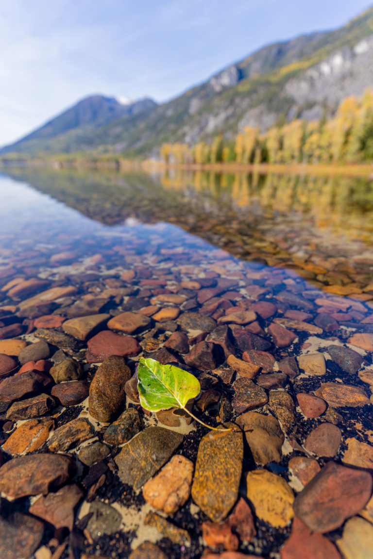 Top 10 Things To Do In Cranbrook, BC - The Lost Girl's Guide to Finding ...