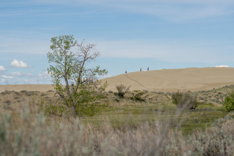 How to Visit the Sand Dunes in Saskatchewan - The Lost Girl's Guide to ...
