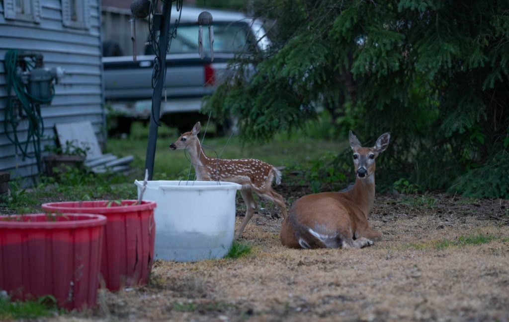 The 10 Best Outdoor Adventure Activities to Experience in Hudson Bay ...